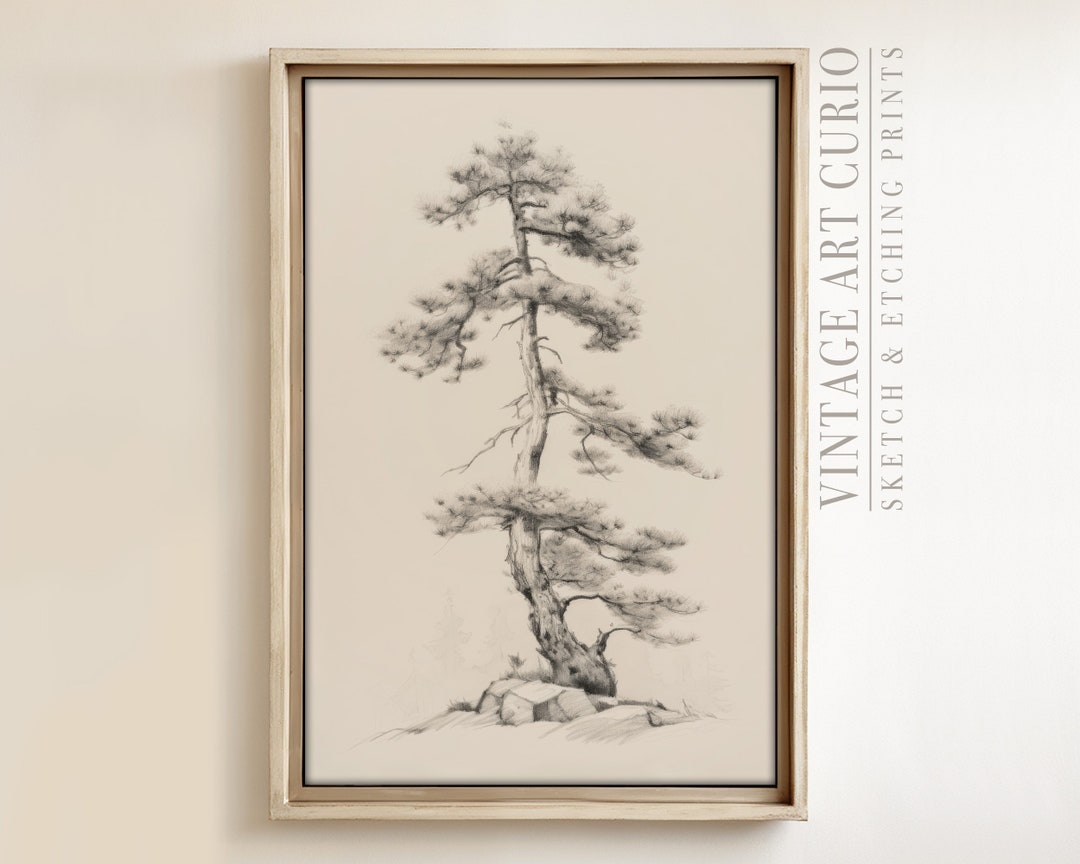 Vintage Tree Sketch, Rustic Country Farmhouse Decor, PRINTABLE Digital ...