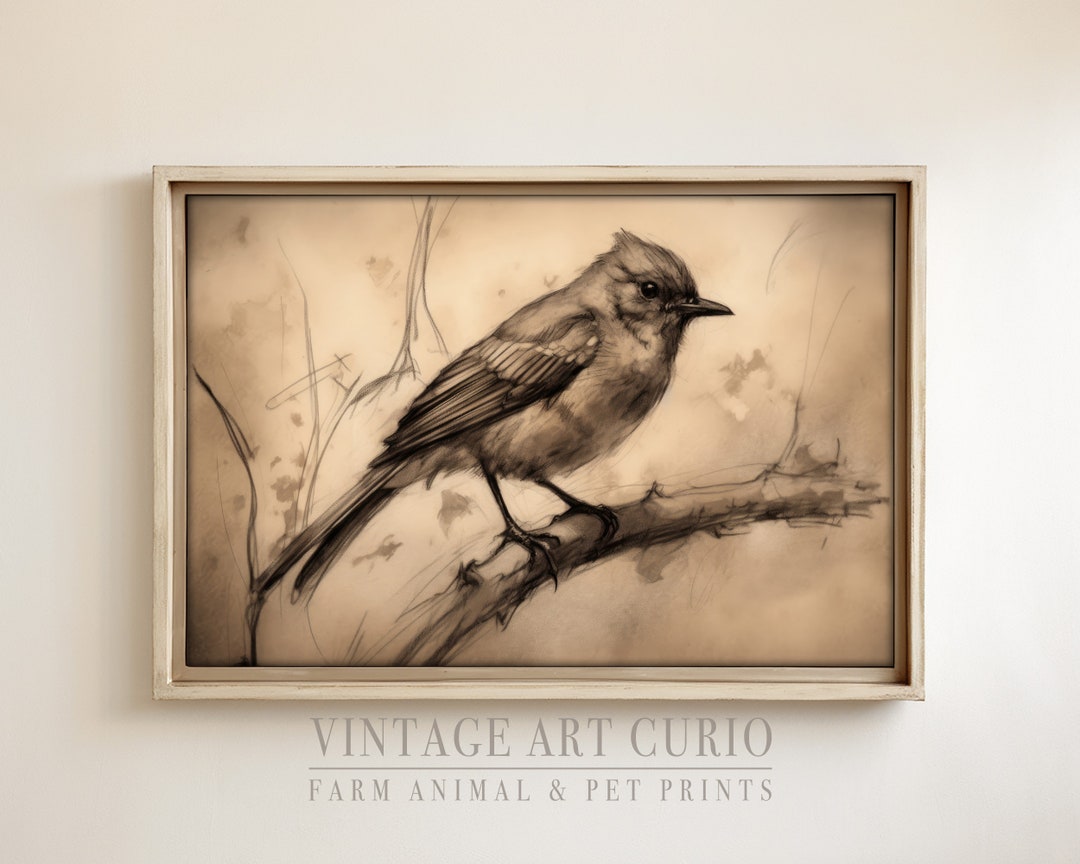 Vintage Bird Sketch Art | Rustic Aviary Print | Vintage Neutral Bird ...