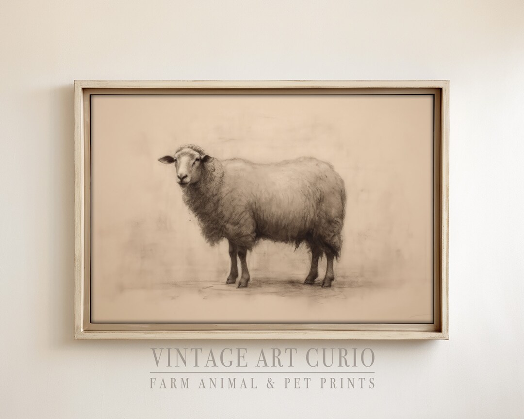 Etched Sketch Sheep Rustic Art Print Wall Art Vintage Sheep Painting ...