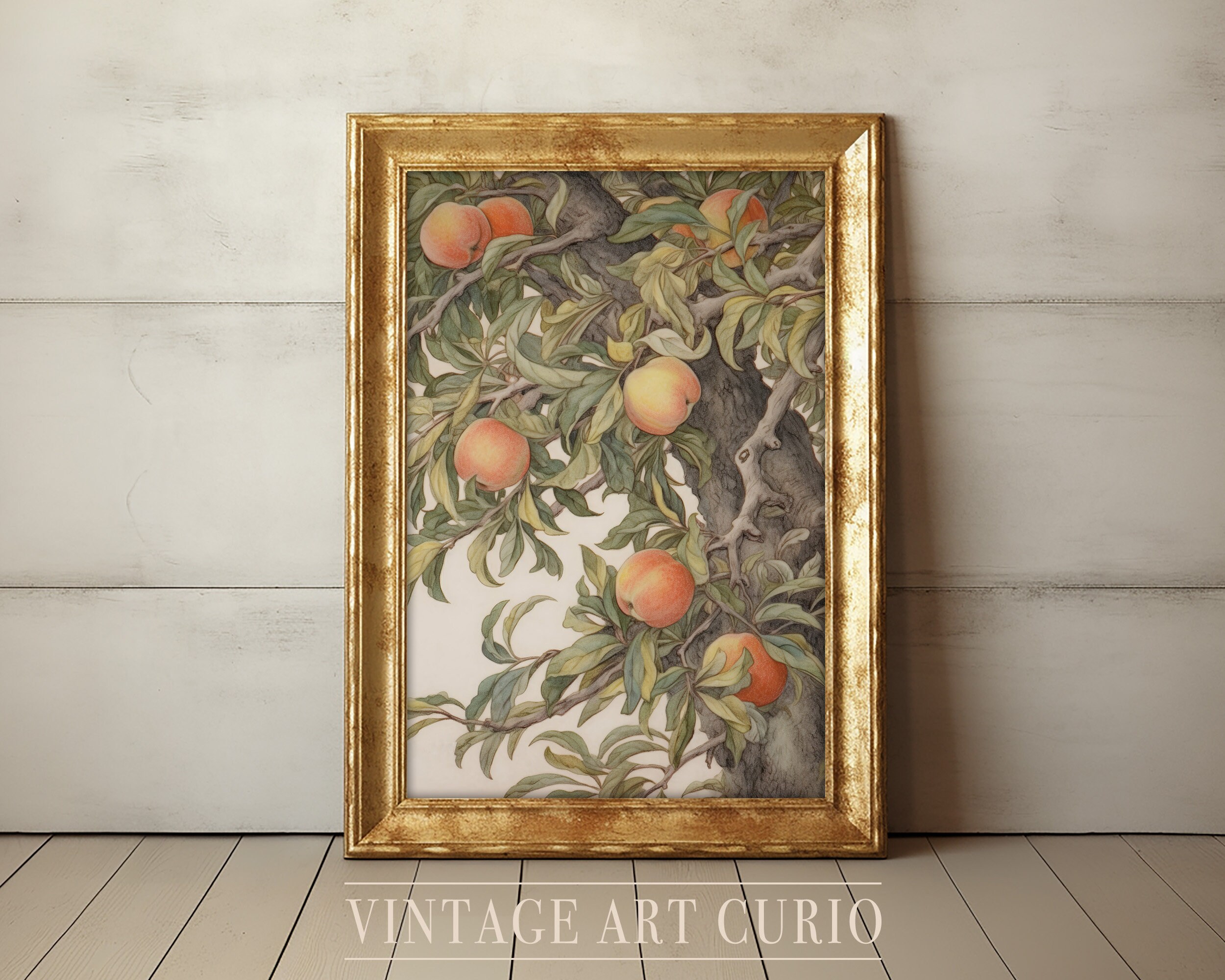 Vintage Apple Tree Painting Kitchen Botanical Fruit Print Antique ...