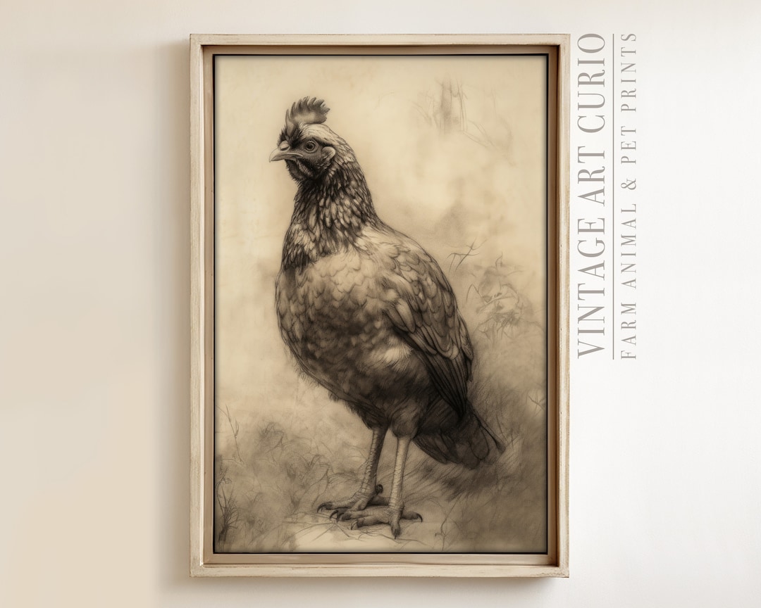 Farmhouse Woodland Rustic Digital Art Wall Art Vintage Chicken Painting ...