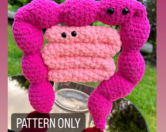 Anatomical Intestines Crochet Pattern PATTERN ONLY Instant DOWNLOAD ...