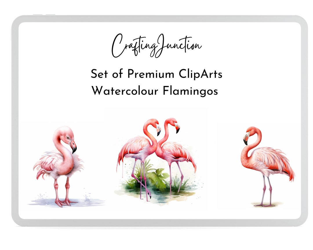 Pink Flamingo Clipart Bundle: 15 Flamingo Clip Art, Flamingos ...