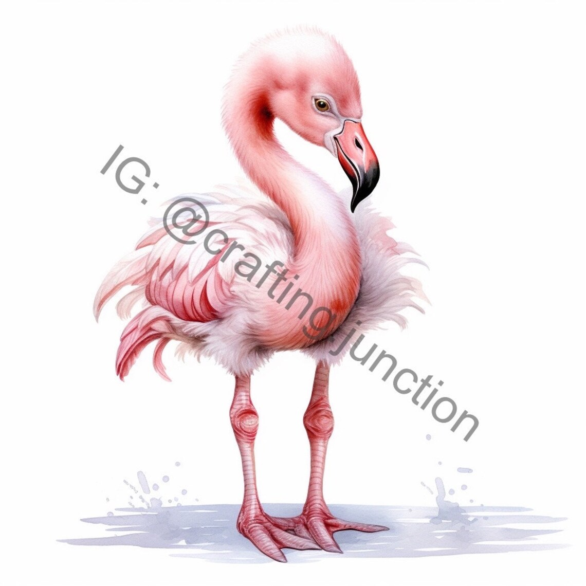 Pink Flamingo Clipart Bundle: 15 Flamingo Clip Art, Flamingos ...