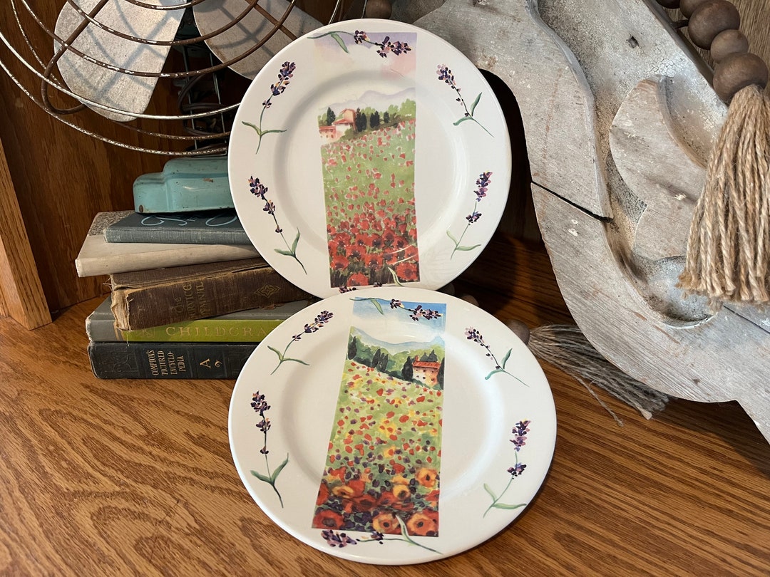Set of 2 Rosanna Made in Italy Plates - Etsy