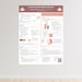 Pink Academic Poster Template, Scientific Conference, A0 (PPTX) - Etsy