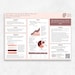 Pink Mauve Research Poster Template, Scientific Conference (PPTX File ...