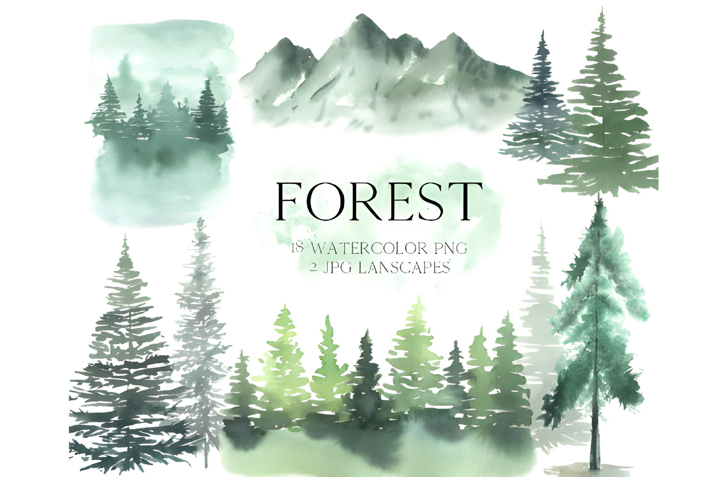 Watercolor Forest Tree Clipart, Pine Tree Png , Woodland Tree, Forest ...