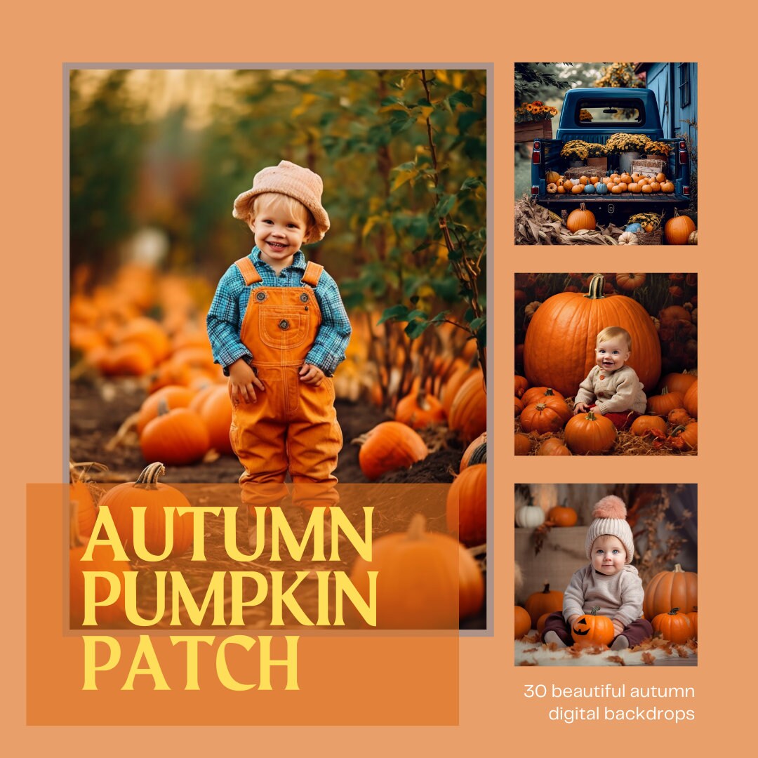 30 Autumn Pumpkin Patch Digital Backdrop Fall Photoshop Overlay Harvest ...