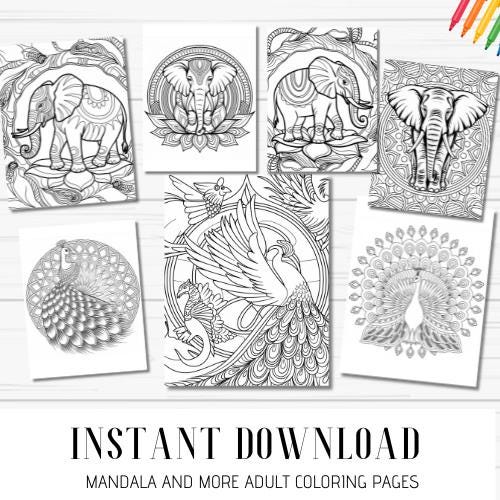 Printable Adult Coloring Book | 181 High-quality Pages + 5 Bonus Covers ...