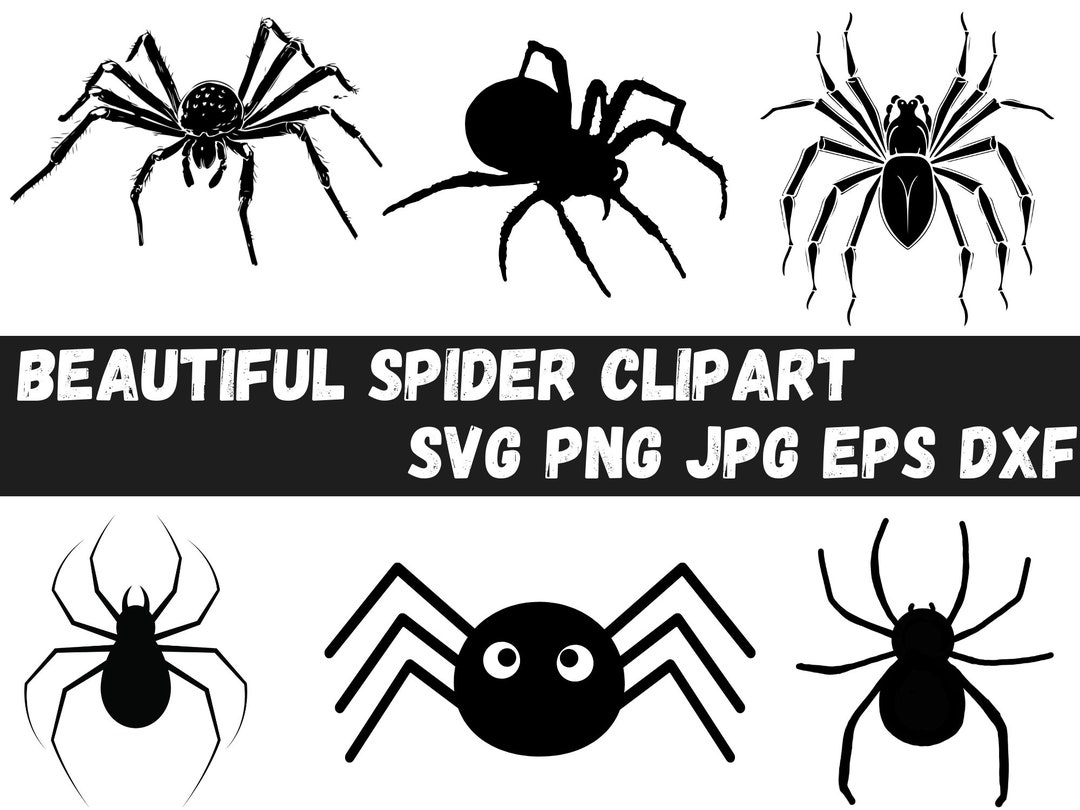 Amazing Spider Svg , Beautiful Spider Svg Bundle , Best and High ...