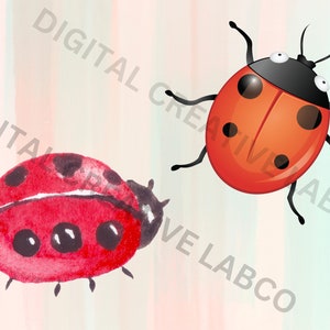Lady Bug Clipart , Cute Ladybug PNG Bundle , Ladybug Silhouette , Red ...