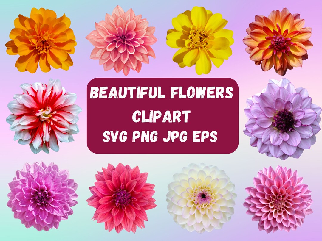Colorful Flower Clipart , Best Quality Floral Set , Colorful Flower Svg ...
