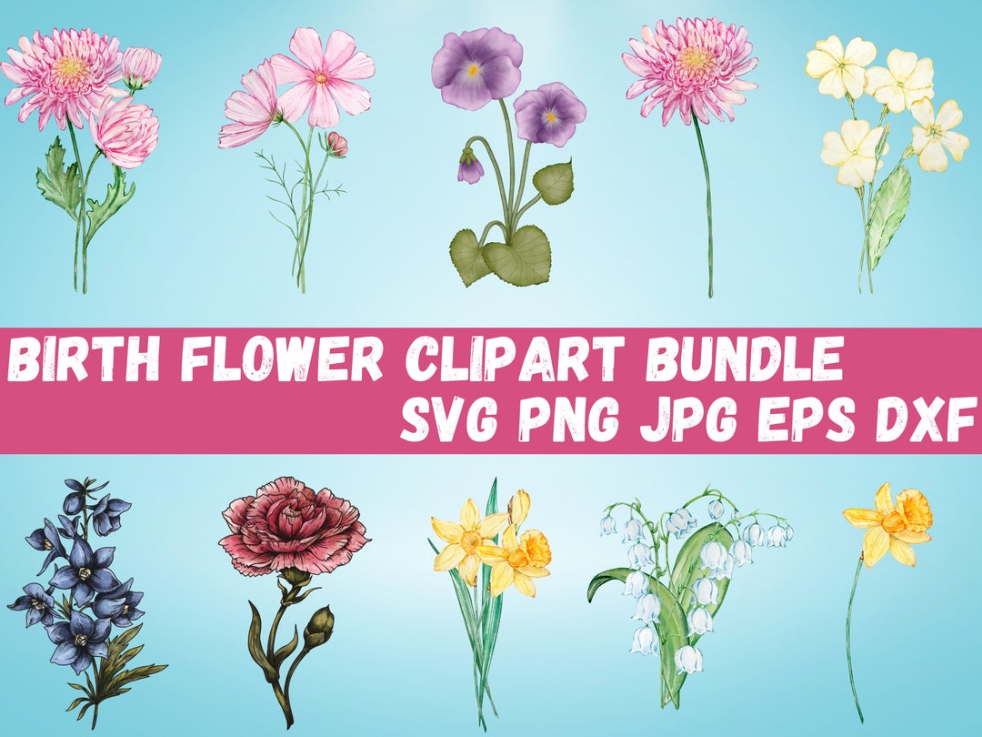 Beautiful Birth Flower Clipart , Best and High Quality Images , Best ...