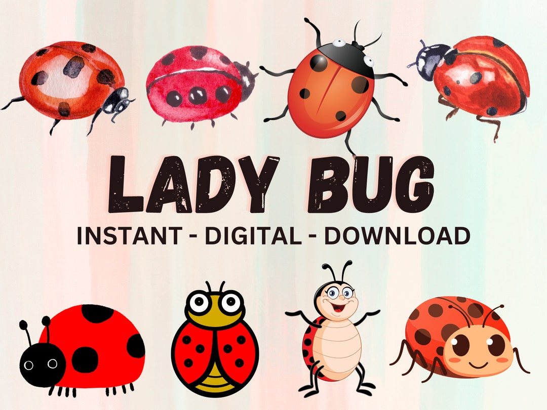Lady Bug Clipart , Cute Ladybug PNG Bundle , Ladybug Silhouette , Red ...