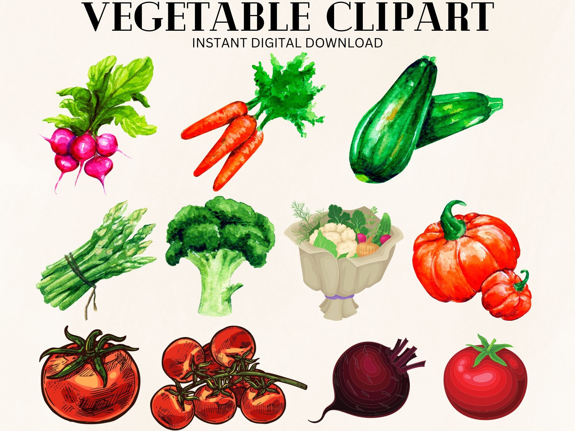Watercolor Vegetables Clipart Food Clipart Garden Vegetables Clipart ...
