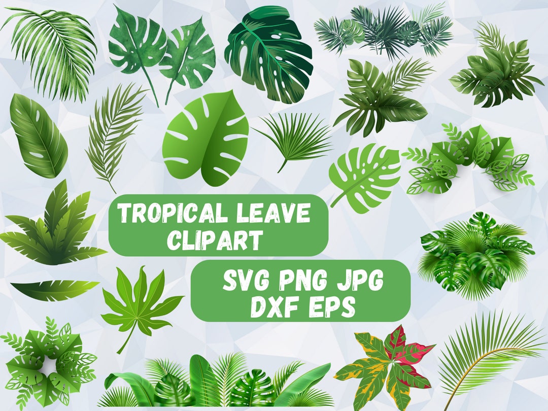 Ultimate Tropical Leave SVG , Tropical Leaf Svg Bundle , Tropical Leaves Clipart , Palm Branch ...