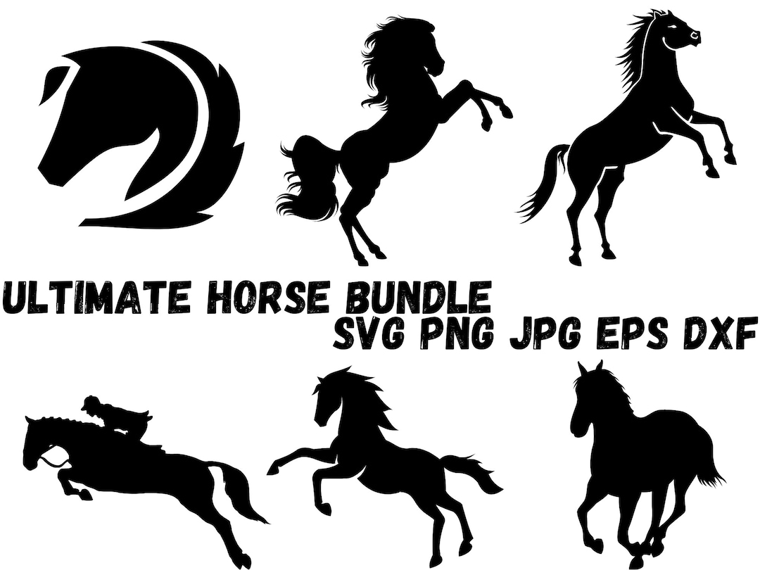 Beautiful Horse Svg Bundle ,best and High Quality Svg Bundle , Best ...