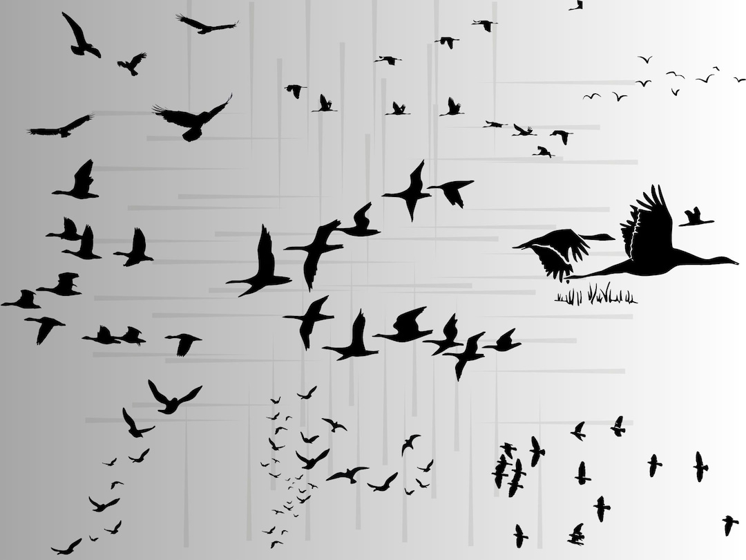 Flock of Birds Svg Bundle\ SVG\ JPG\ PNG\ Commercial Use\ Digital Cut ...