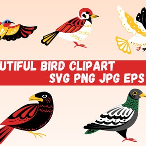 Ultimate Colorful Bird Clipart , Set of 5 , Best and High Quality ...