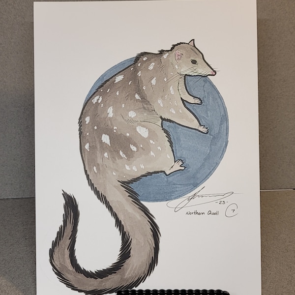 Quoll - Etsy