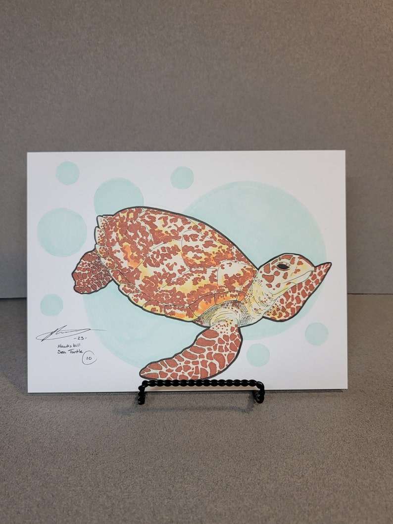 Hawksbill Sea Turtle Original - Etsy