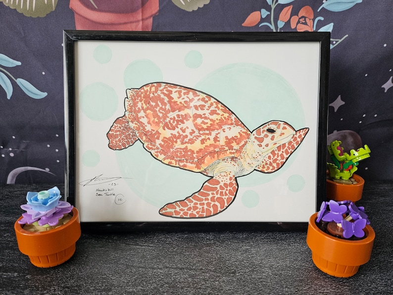 Hawksbill Sea Turtle Original - Etsy