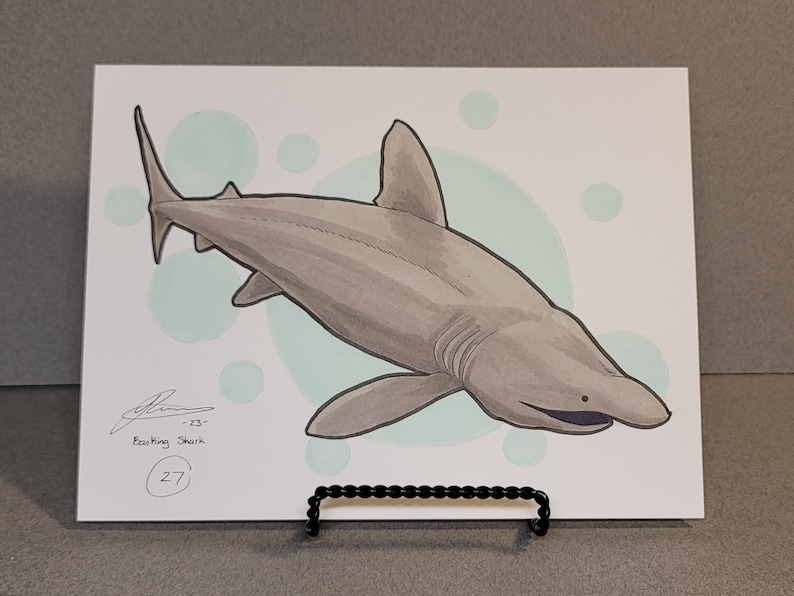 Basking Shark Original - Etsy