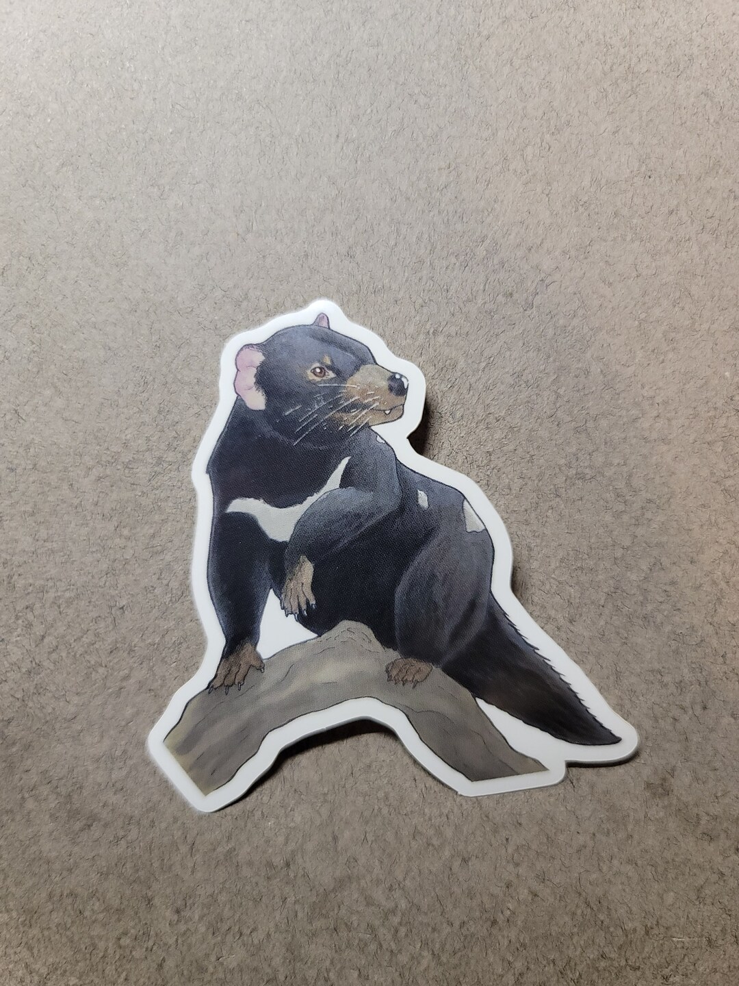 Tasmanian Devil Sticker - Etsy