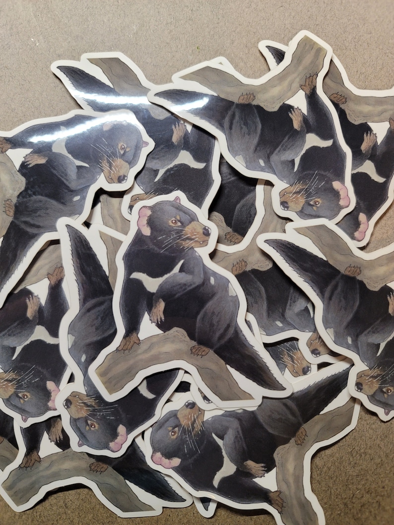 Tasmanian Devil Sticker - Etsy
