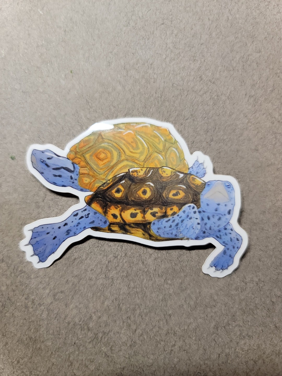 Diamondback Terrapin Sticker - Etsy