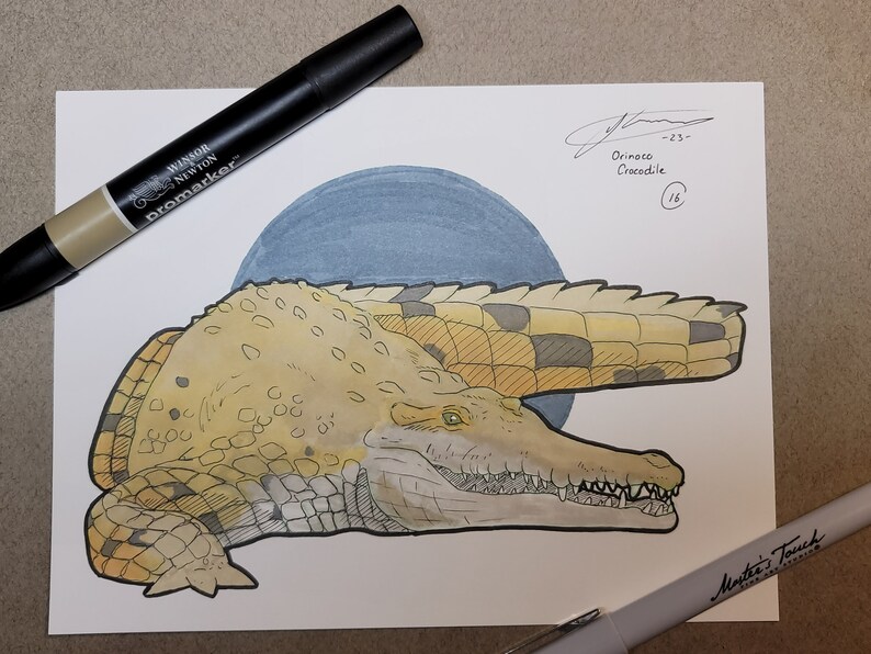 Orinoco Crocodile Original - Etsy