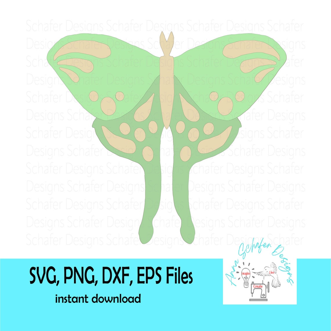 Moth Svg, Insect Svg, Bug Svg, Moth Clipart, Moth Png, Insect Png ...