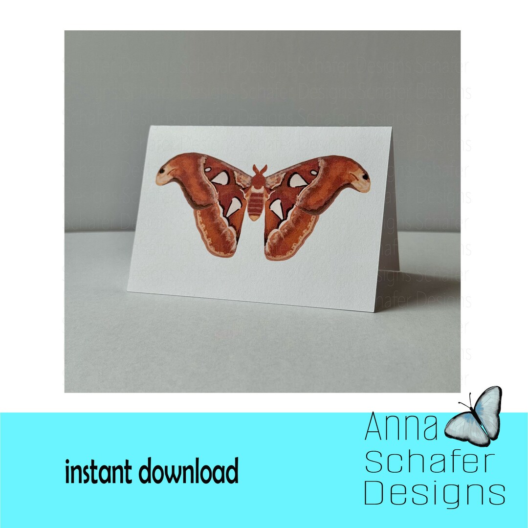 Printable Atlas Moth Card, Moth Card PNG, Atas Moth Greeting Card, Hand ...