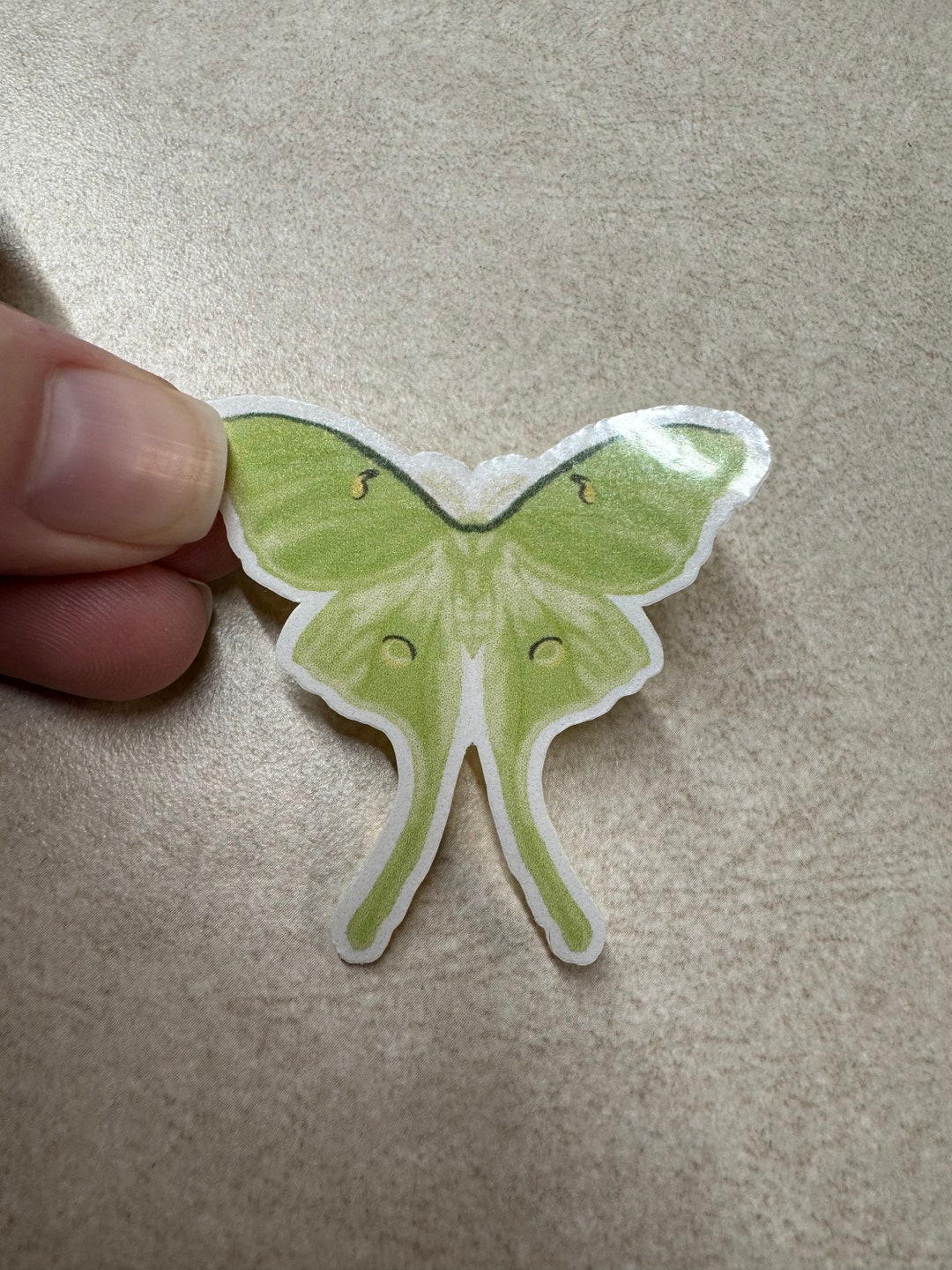 Luna Moth Sticker PNG, Luna Moth PNG, Insect Clipart, Bug Png, Moth ...