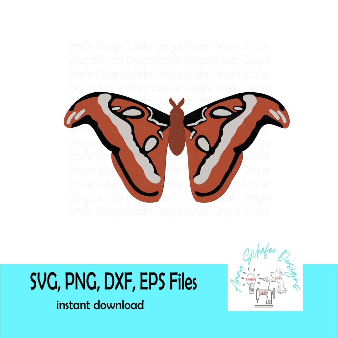 Moth Svg, Atlas Moth Svg, Insect Svg, Bug Svg, Moth Clipart, Moth Png ...