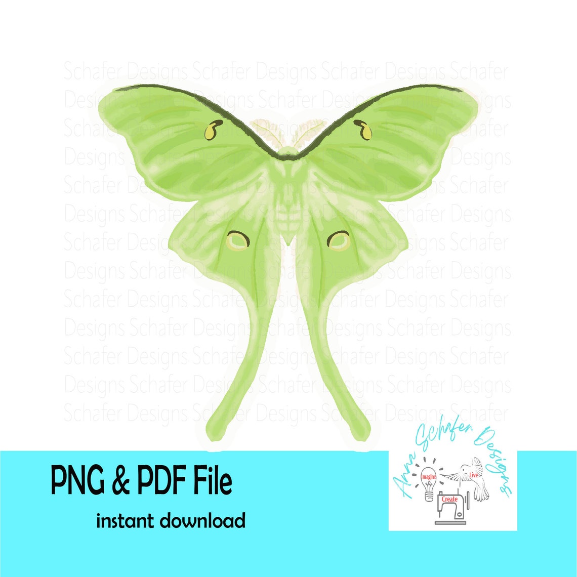 Luna Moth Sticker PNG, Luna Moth PNG, Insect Clipart, Bug Png, Moth ...