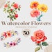 Bundle Flowers Watercolor, Flowers Clipart in Watercolor, Watercolor ...