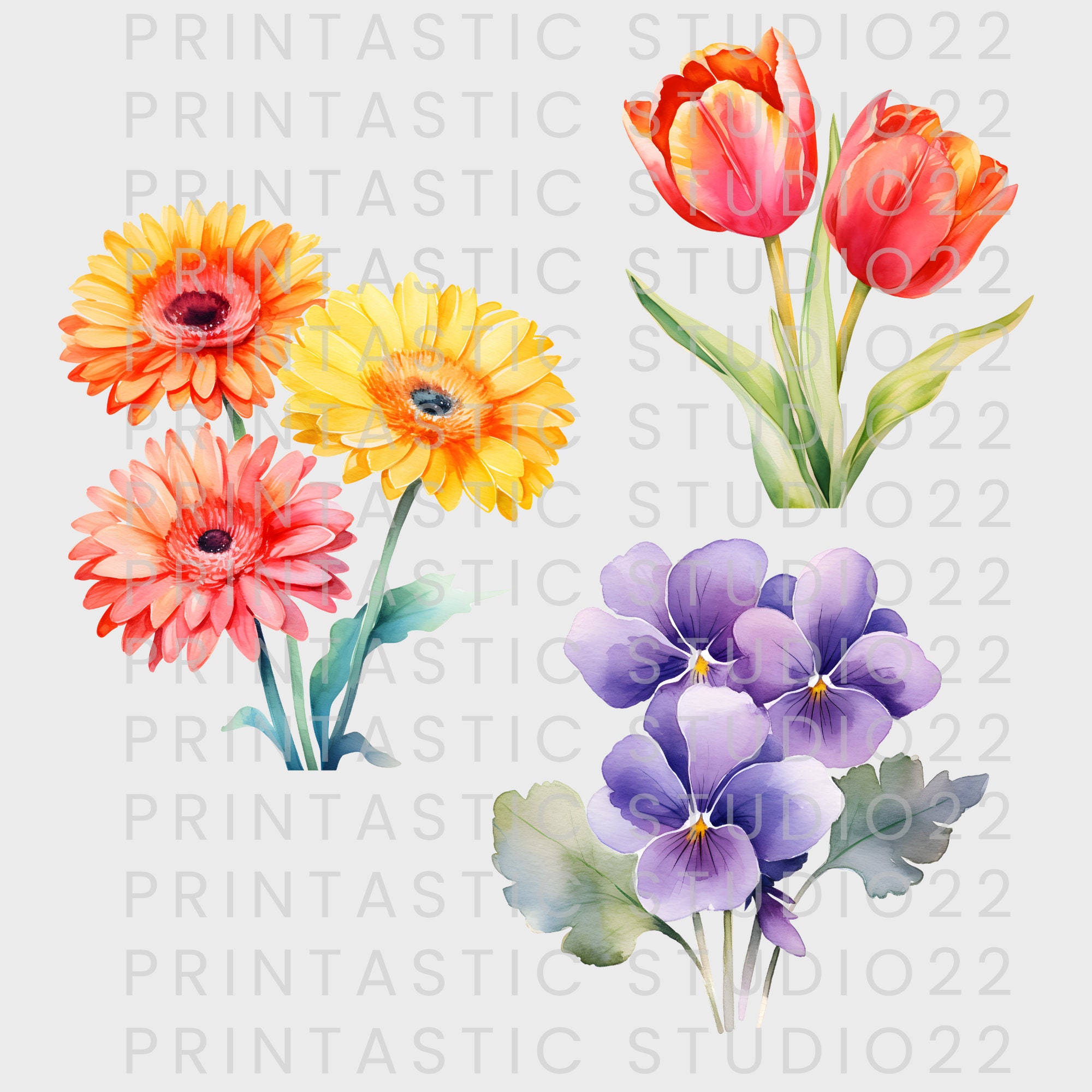 Bundle Flowers Watercolor, Flowers Clipart in Watercolor, Watercolor ...