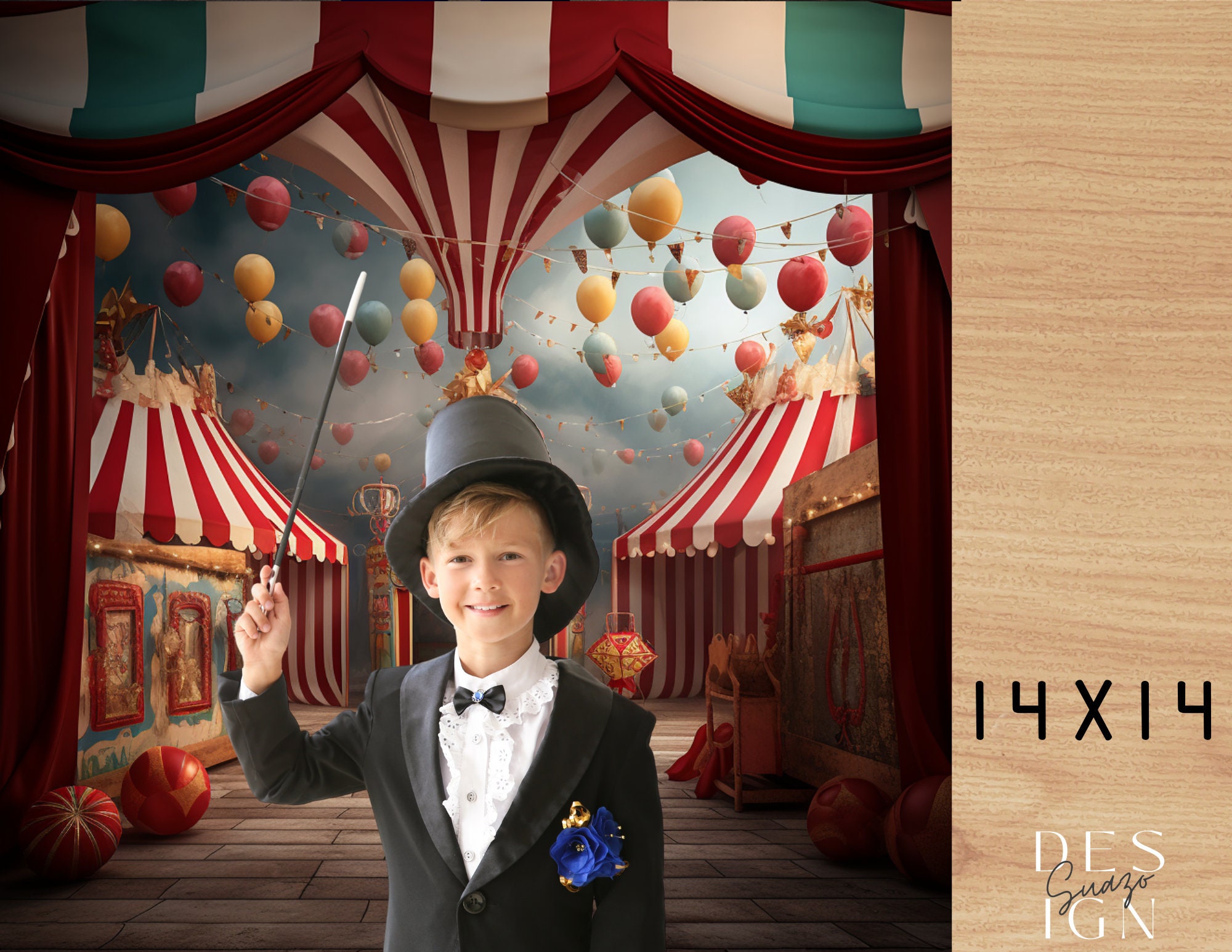 Circus Fine Art Backdrop for Photo , Circus Themed Backdrop Set ...