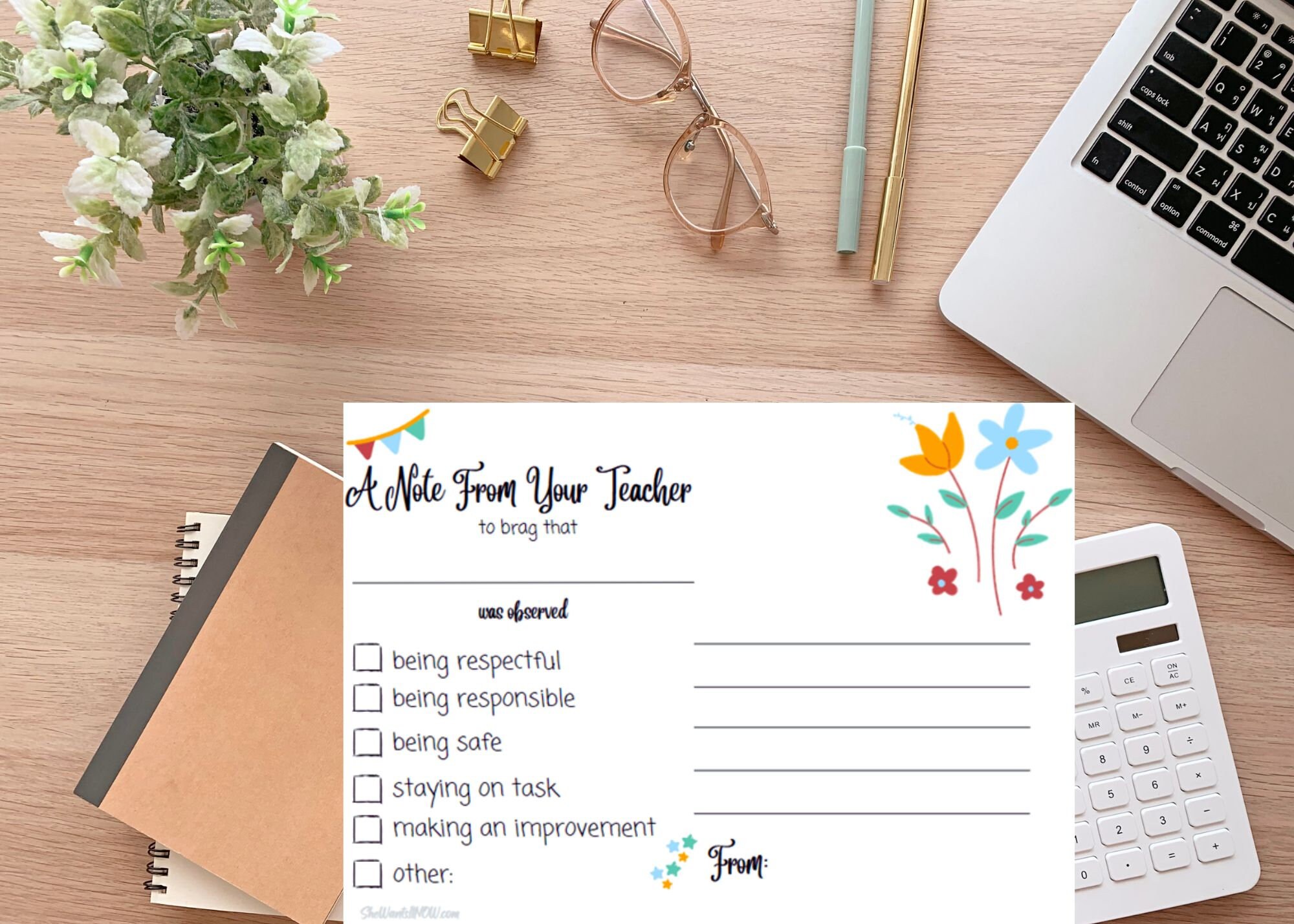 Teacher Note, Teacher Mail, Brag Note, Good Day Note, Back to Schoo ...