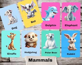 Montessori 3 Part Cards Parts of a Dragonfly - Etsy