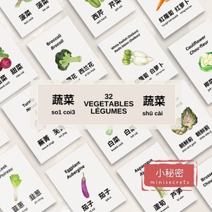 Chinese Vegetable Flashcards PRINTABLE, Traditional Chinese, Simplified ...