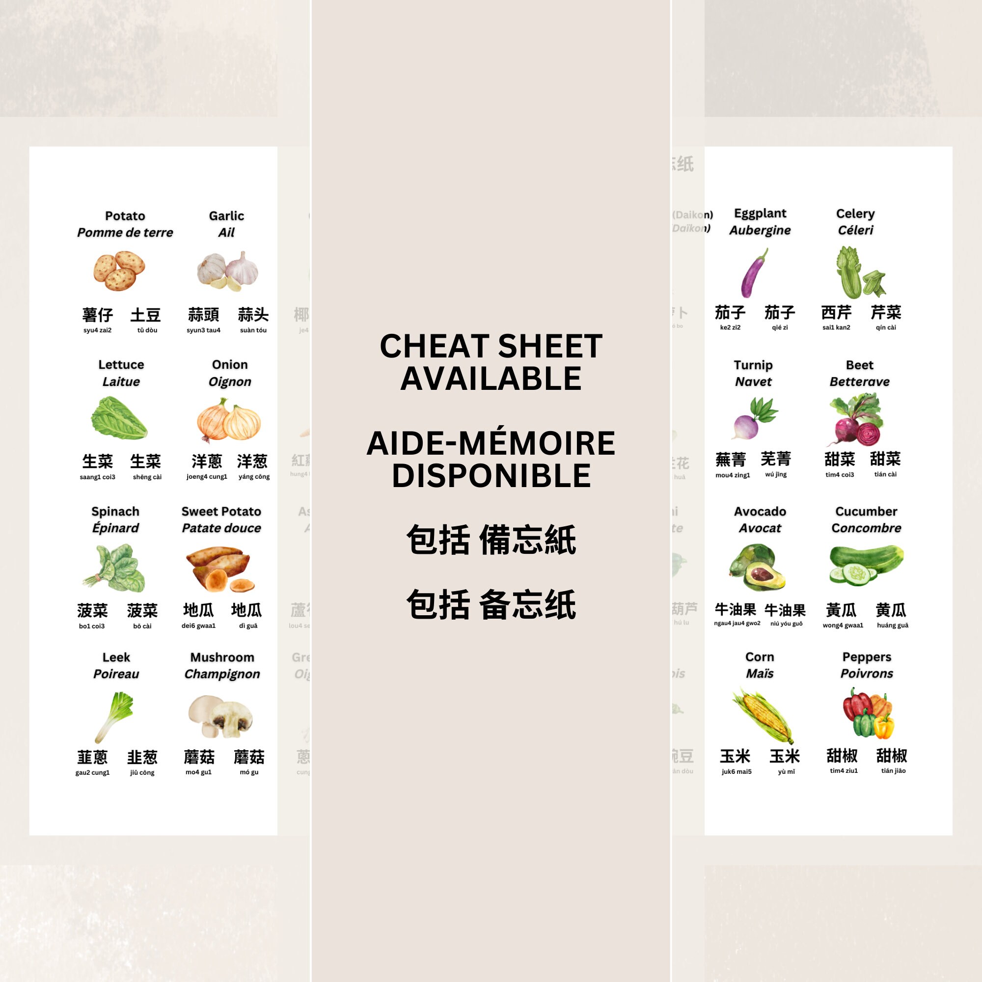Chinese Vegetable Flashcards PRINTABLE, Traditional Chinese, Simplified ...