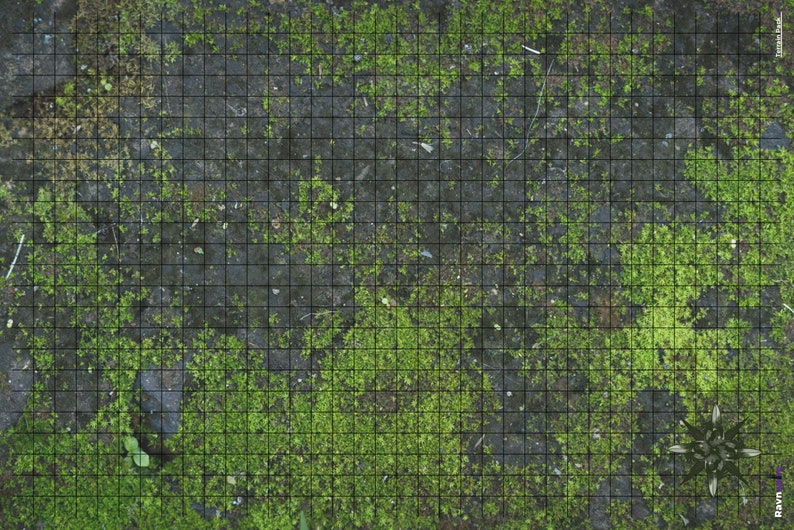 DND Battle Mat 3 Pack Starter Set Accessory for RPG Role Playing Games ...