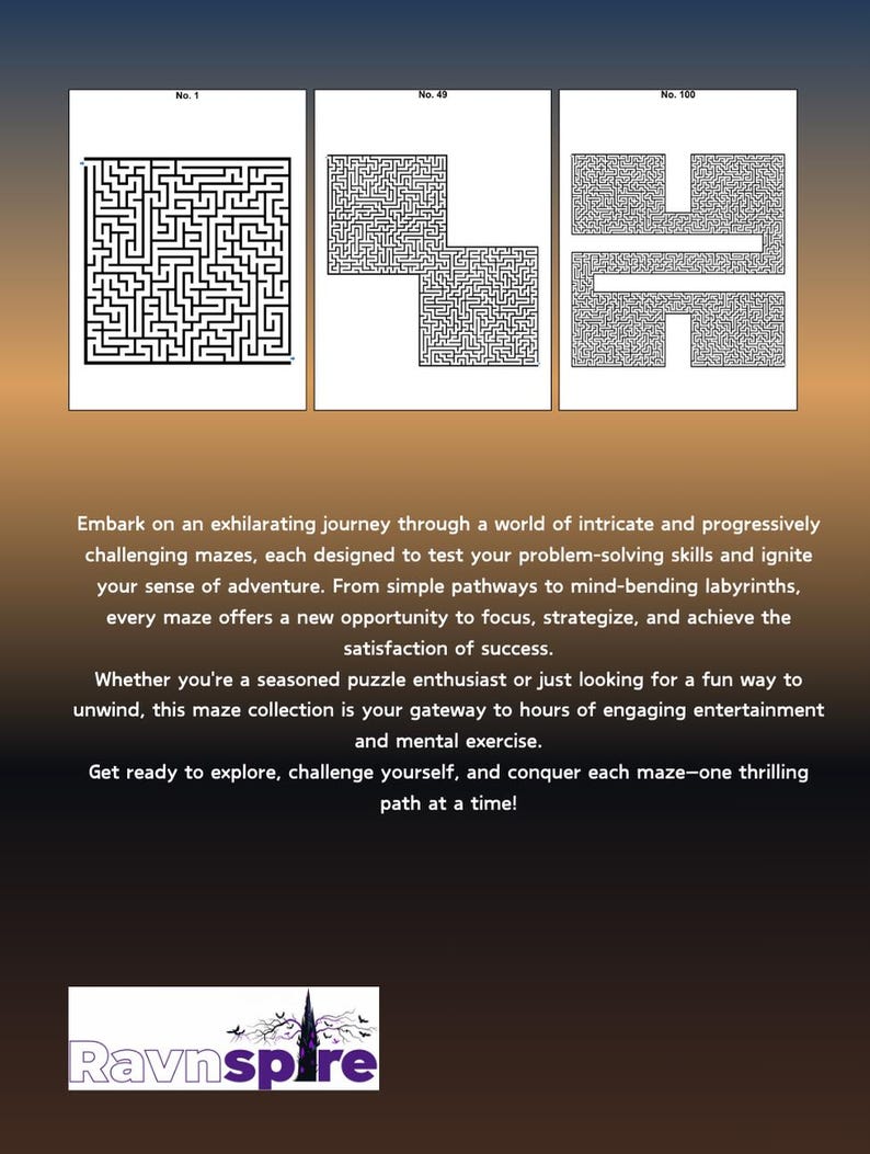 Mental Labyrinth's: Mazes Edition - Maze Puzzles for Everyone - Etsy