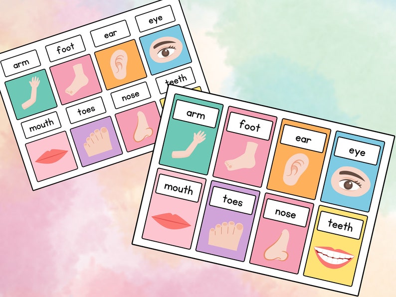 28 Body Parts Flash Cards | Digital Printable Body Cards Bundle ...