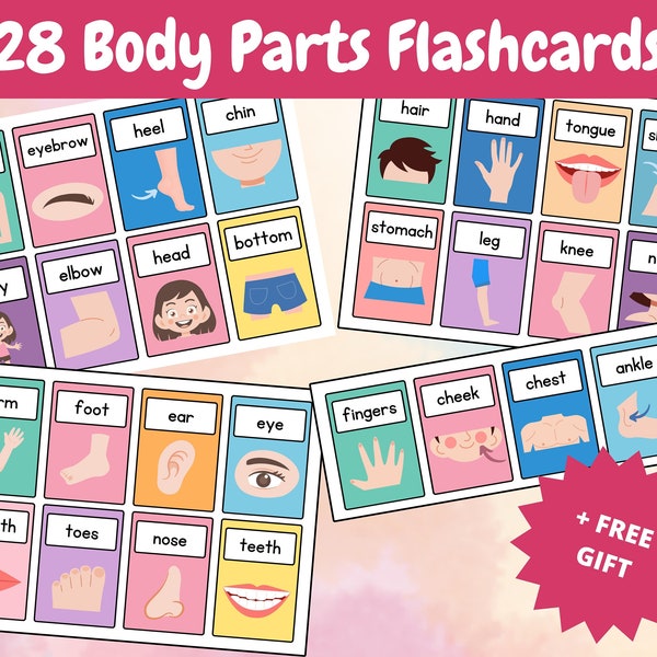 Toddler Flash Cards Body Parts Cards Pre School Cards - Etsy