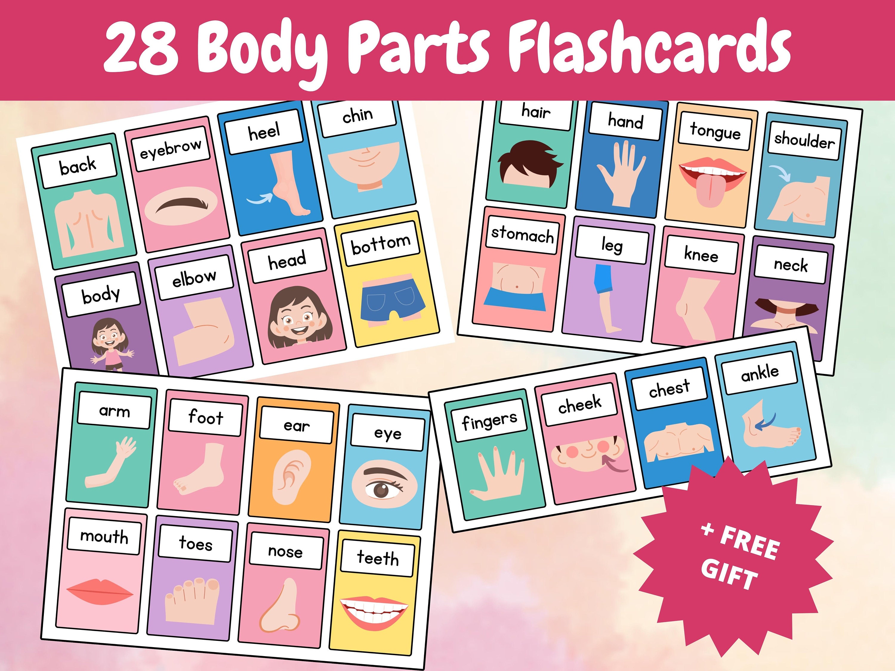 28 Body Parts Flash Cards | Digital Printable Body Cards Bundle ...