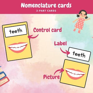 28 Body Parts Flash Cards | Digital Printable Body Cards Bundle ...